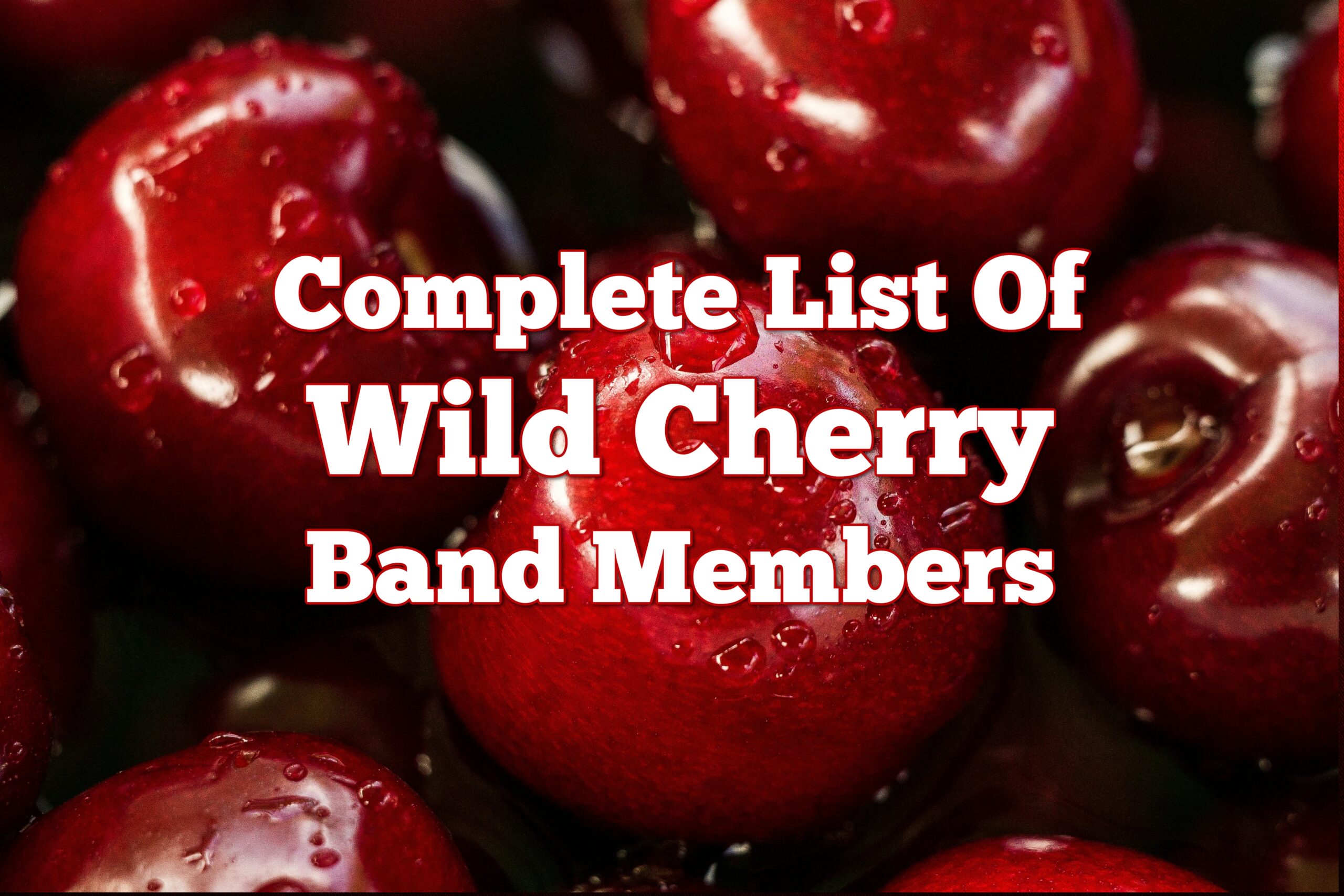 Complete List Of Wild Cherry Band Members - ClassicRockHistory.com